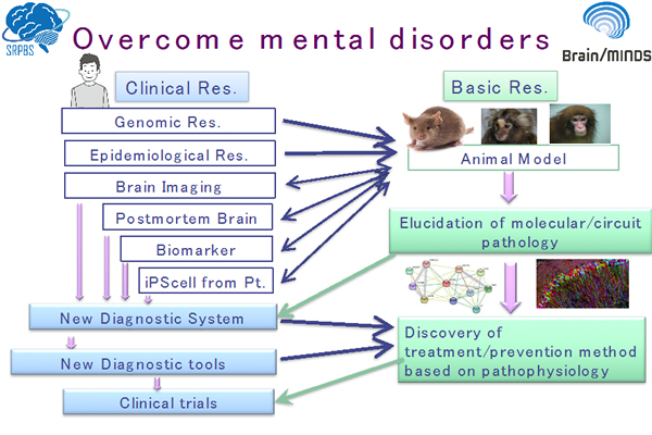 Psychiatry - Clinical Neurosciences - Laboratories | Nagoya University ...