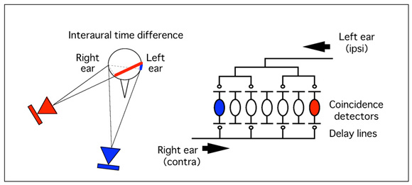 Cell Physiology, Graduate School of Medicine, Nagoya University