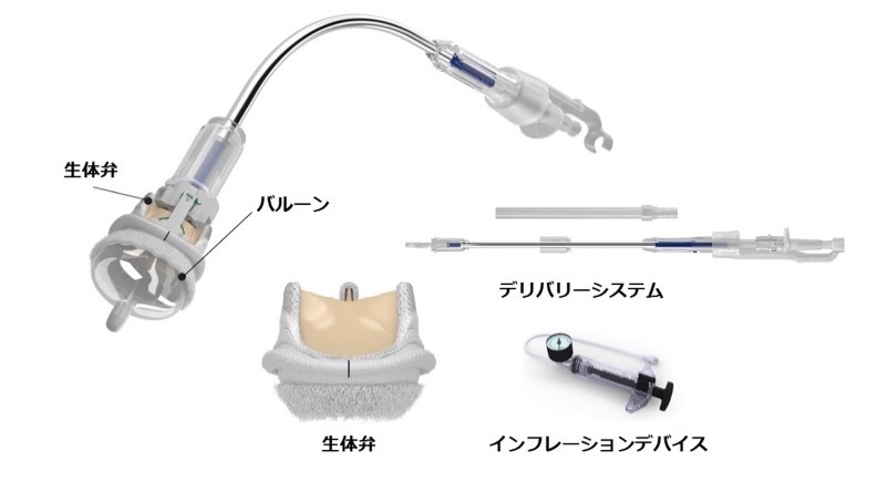 sutureless AVR | 名古屋大学附属病院ハートチーム